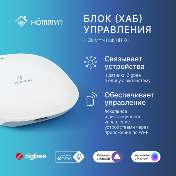 Блок управления (шлюз) Hommyn Hub HH-01 купить на OZON по низкой цене ...