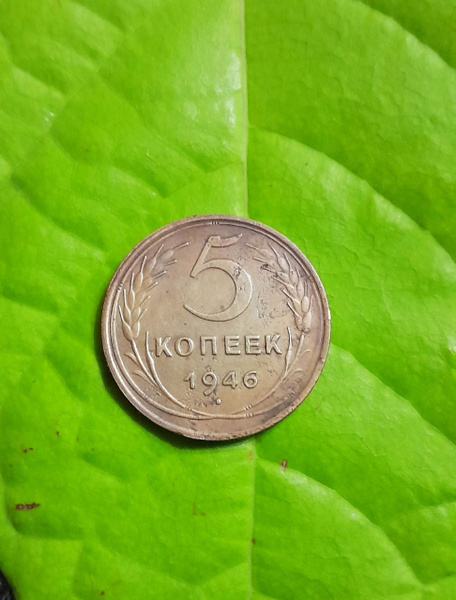 5 копеек 1946 года: оригинальная монета СССР купить на OZON по низкой цене (1727044705)