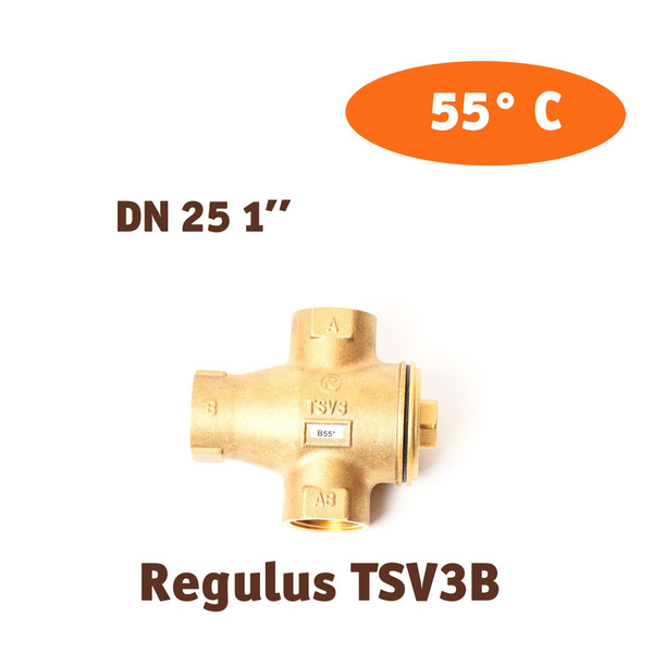 Трехходовой смесительный клапан Regulus TSV3B 55 C DN25 1" (артикул 11281) купить на OZON по ...