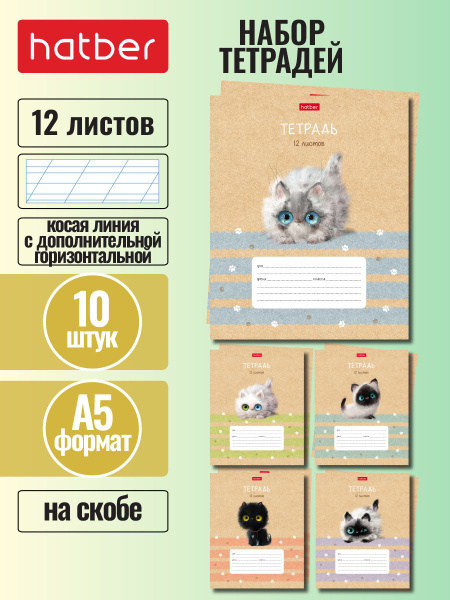 Набор тетрадей Hatber 12 листов, косая линия с дополнительной горизонтальной линией 5 дизайнов ...