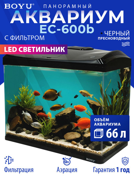 Аквариум Boyu EC-600 панорамный, 66 л, с фильтром и LED-лампой, черный купить на OZON по низкой ...