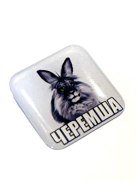 PANACEA - 3д стикер 3х3 см на телефон черемша мем купить на OZON по ...