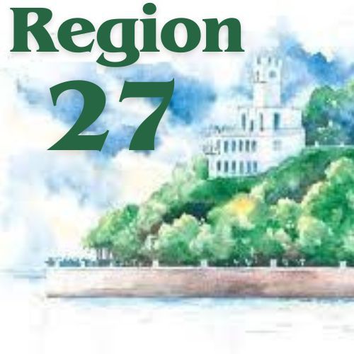 27 REGION — купить товары 27 REGION в интернет-магазине OZON