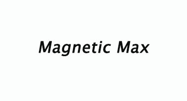 Magnetic Max — купить товары Magnetic Max в интернет-магазине OZON