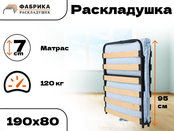 Раскладушка Фабрика-Раскладушек, Сталь, голубой, черный матовый купить ...