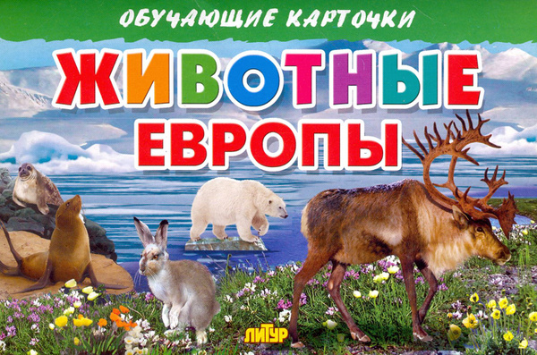 Карточки. Животные Европы - купить с доставкой по выгодным ценам в ...