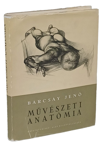 Muveszeti anatomia. Анатомия для художников (на венгерском языке ...