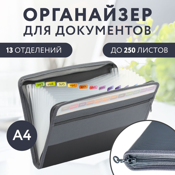 Scellt Папка-органайзер A4 (21 × 29.7 см), 1 шт. купить на OZON по низкой цене (1883352809)