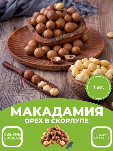 Макадамия орех в скорлупе натуральный с ключом 1 кг, полезный перекус ...