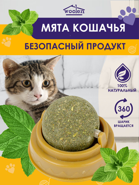 Кошачья мята, игрушка-лакомство для кошек и котов - купить с доставкой ...
