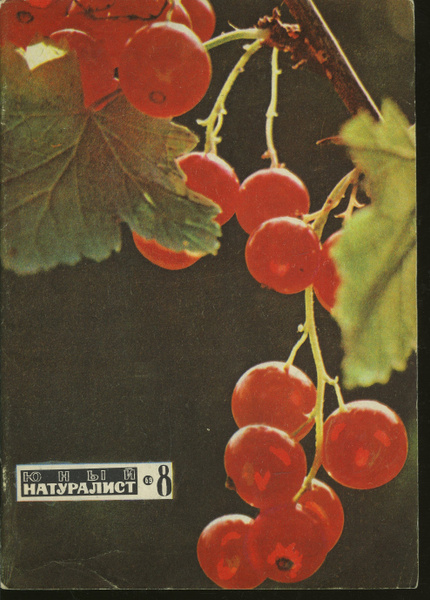 Журнал Юный натуралист 1969 №8 - купить с доставкой по выгодным ценам в интернет-магазине OZON ...