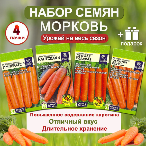 Морковь Семена Алтая Морковь_Морковь Нантская 4, Детская сладкая ...