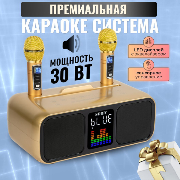 Караоке система для дома SDRD SD-318 золотая с двумя беспроводными ...