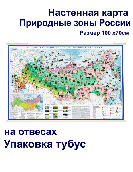 Атлас Принт Географическая карта 70 x 100 см - купить с доставкой по ...