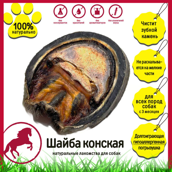 Лакомство для собак "Копыто конское" 1 шт - купить с доставкой по ...