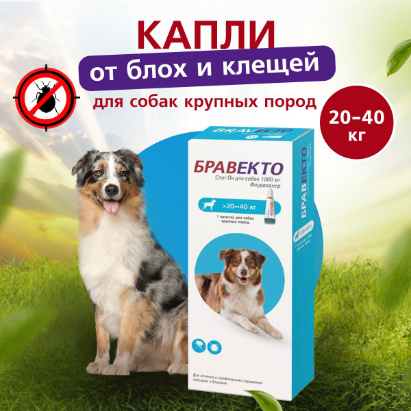 до 02.2026 Бравекто капли от блох и клещей для средних и крупных пород ...