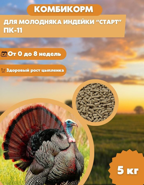 Комбикорм для индюков и индюшек СТАРТ 0-21 - купить с доставкой по ...