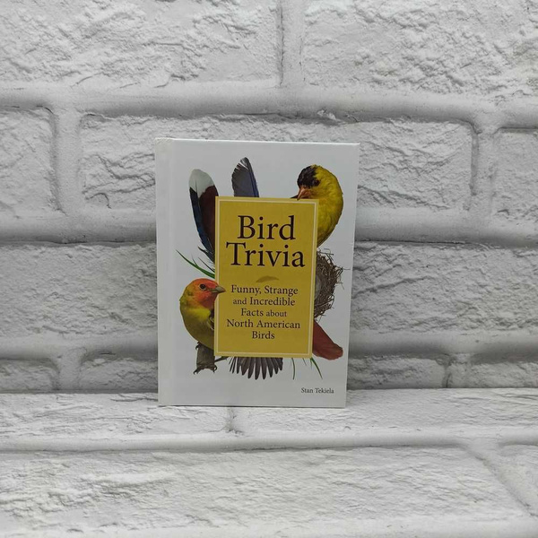Bird Trivia: Funny, Strange and Incredible Facts about North American ...