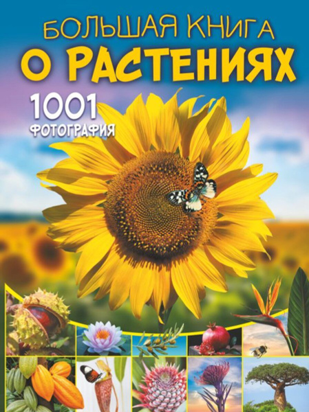 Большая книга о растениях. 1001 фотография | Медведев Д. - купить с ...