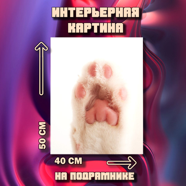 Картина на стену Кошачья лапка - купить по низкой цене в интернет ...