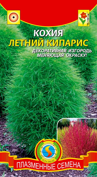Кохия Плазменные семена кохии - купить по выгодным ценам в интернет ...