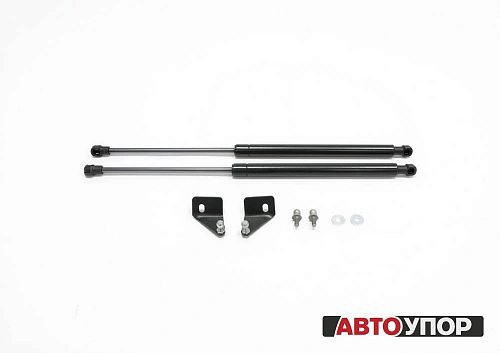 Амортизаторы капота Renault Sandero / Sandero Stepway (2009-2014/2010 ...
