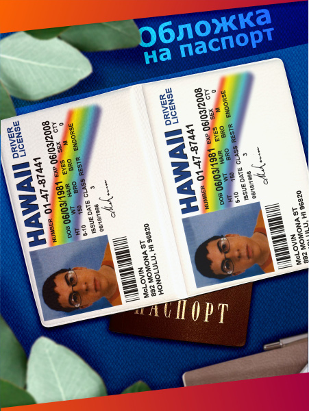 Обложка на паспорт для документов Мактрахер Mclovin - купить с ...