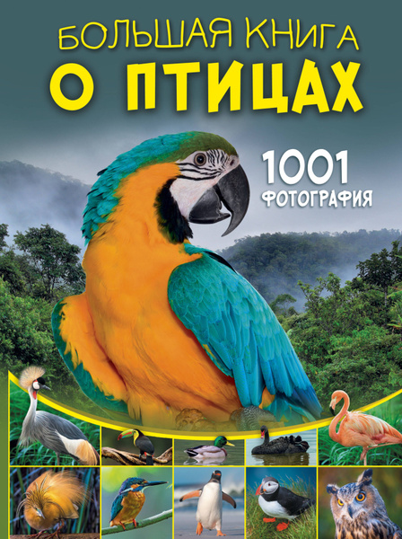 Большая книга о птицах. 1001 фотография - купить с доставкой по ...