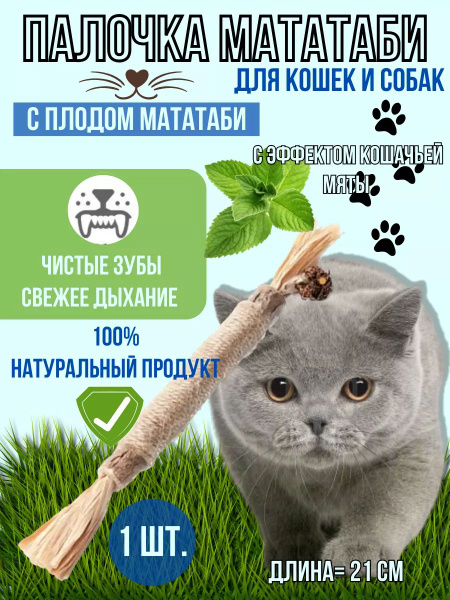 Палочка мататаби для кошек и собак - купить с доставкой по выгодным ...