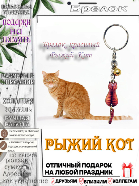 Брелок Рыжий Котик в подарок для ключей, телефона, рюкзака или сумки ...