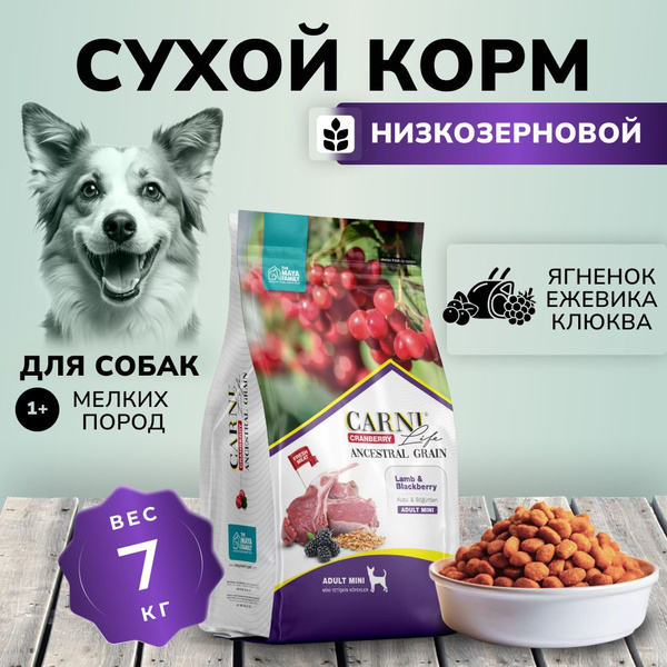 CARNI LIFE Корм для собак Mini мелких пород Ягненок ежевика клюква ...