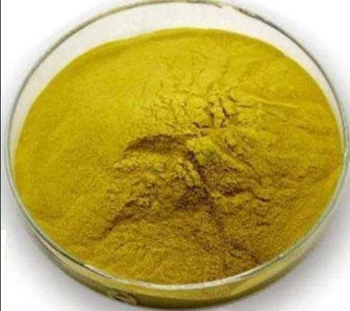 Goldenseal Root Extract Powder 10:1 concentrated Экстракт корня золота ...