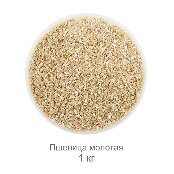 Пшеница зерно молотое 1 кг купить с доставкой по выгодным ценам в