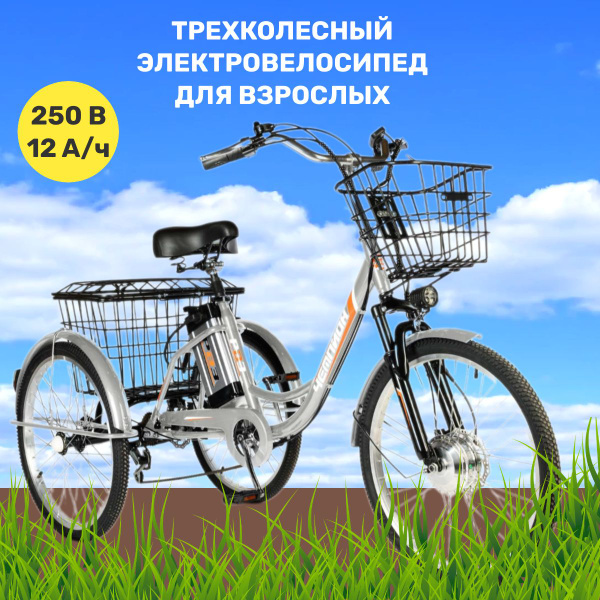 Вопросы и ответы о Электровелосипед взрослый трехколесный РВЗ Чемпион ...