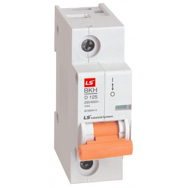 LS Electric BKH 1P C125A (1шт)Модульный автоматический выключатель купить на OZON по низкой цене ...