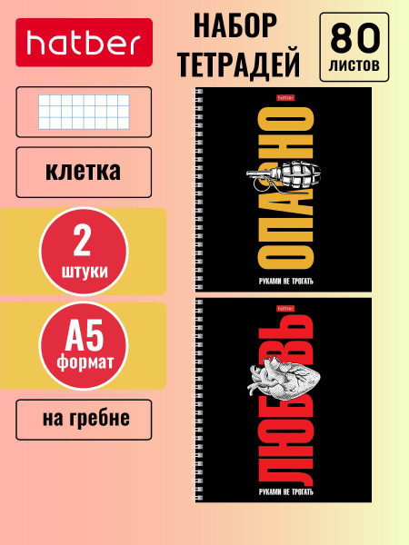 Набор тетрадей Hatber 80 листов, формата А5, в клетку, на гребне, 2 штуки/2 дизайна -Руками не ...