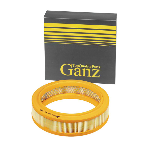 Фильтр воздушный ВАЗ 2101 09 GANZ GRR04001 купить на OZON по низкой цене (1767277936)
