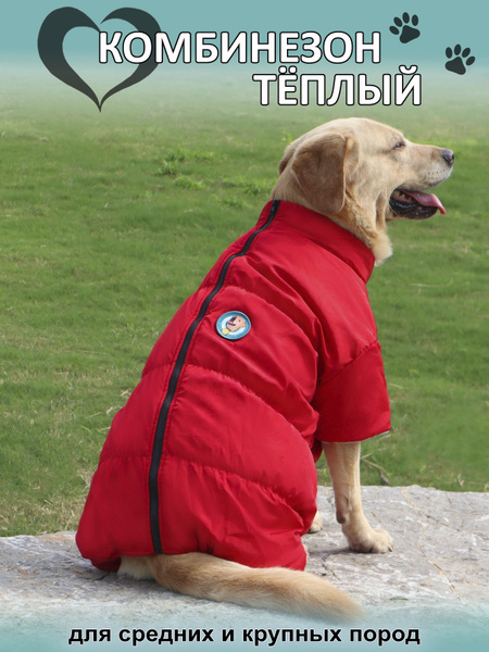 Комбинезон Rexy crew "Rexy" для собак средних и крупных пород, цвет красный, размер 6XL купить ...