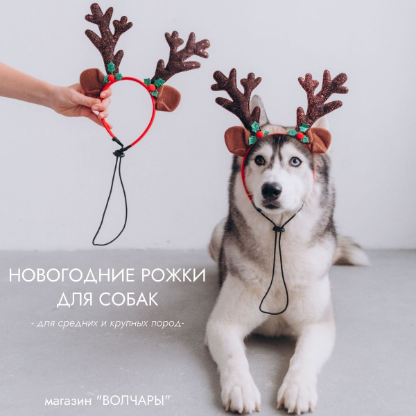 Новогодний аксессуар для собак, рожки оленя, ободок для собак купить на ...