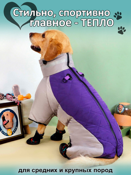 Куртка Rexy crew "Спортивная" для собак средних и крупных пород, цвет фиолетовый, размер 2XL ...