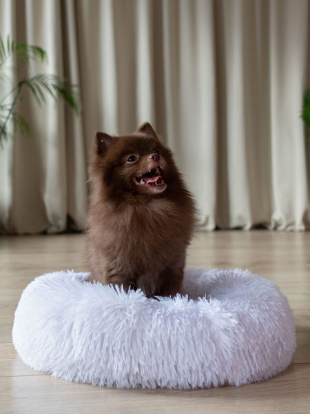Лежанка круглая меховая BARQ Plush, для кошек и собак мелких пород, S ...