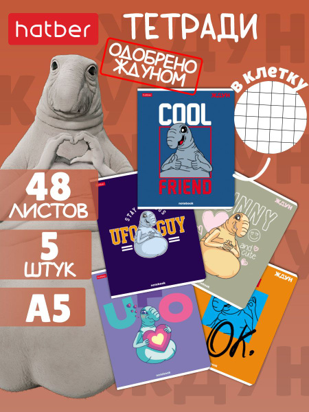 Набор тетрадей Hatber 5 штук/5 дизайнов 48 листов, в клетку на скобе ЖДУН купить на OZON по ...