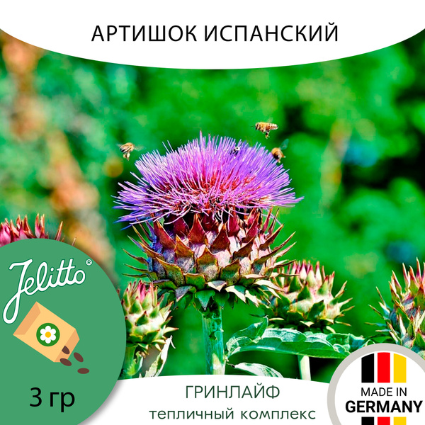 Jelitto Артишок испанский, 3 г - купить с бесплатной доставкой в OZON ...