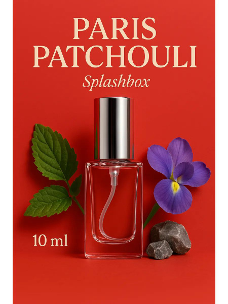 Splashbox Духи Patchouli Paris 10 мл купить на OZON по низкой цене ...