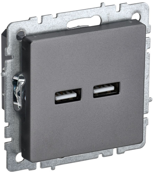 Розетка USB Type A+A 3,1А (Сталь), IEK Brite - купить по низкой цене в ...