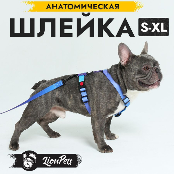 Шлейка для собак мелких пород, средних и крупных, для кошек ...