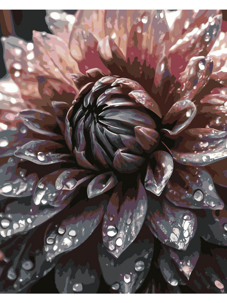 Картина по номерам цветок георгины на холсте с деревянным подрамником ...