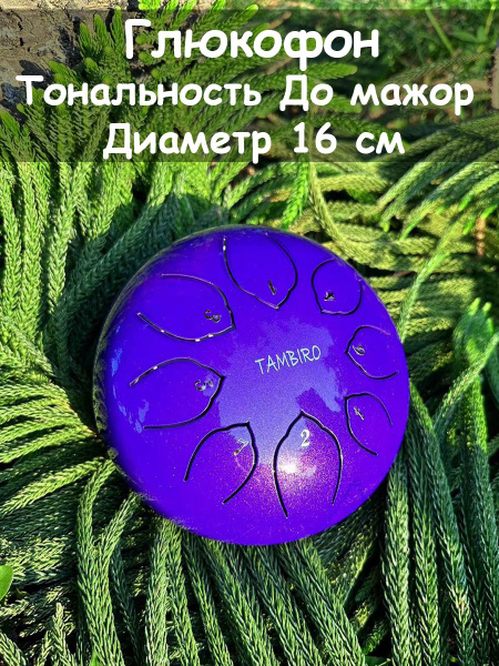 Перкуссия купить на OZON по низкой цене (1772008486)