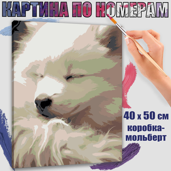 Картина по номерам 40x50 см. Шпиц: воплощение нежности и доброты ...