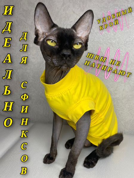 Одежда для сфинкса - купить с доставкой по выгодным ценам в интернет ...